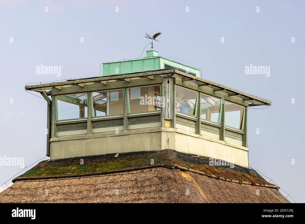 Birds watching tower hi-res stock photography and images - Alamy