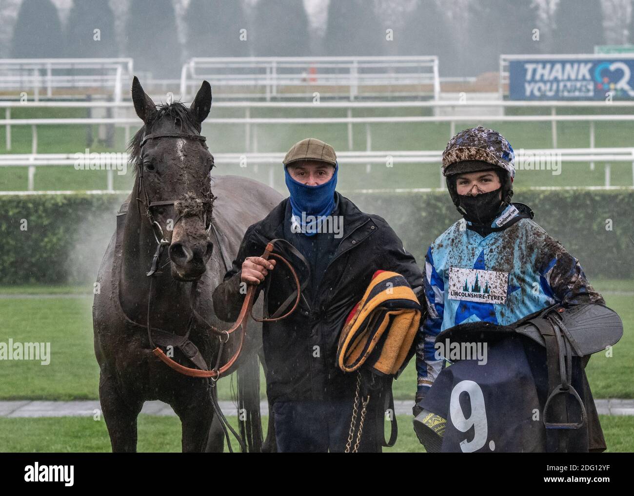 Thoroughbred racehorse behind fence hi-res stock photography and images ...