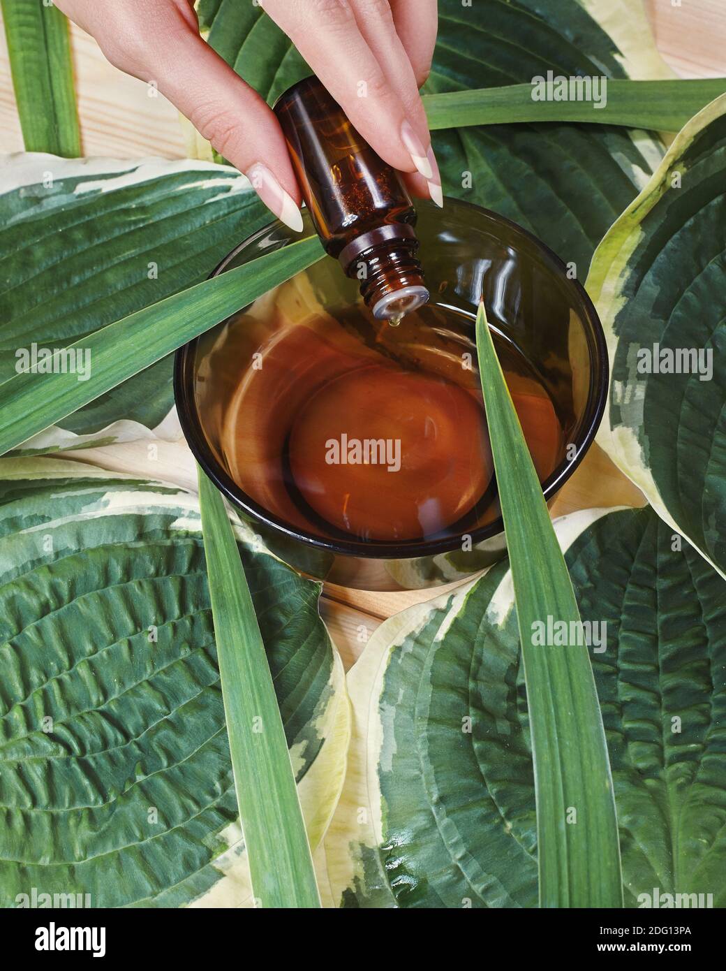 Beautiful female Hand holding Bottle with Essential Oil for ...