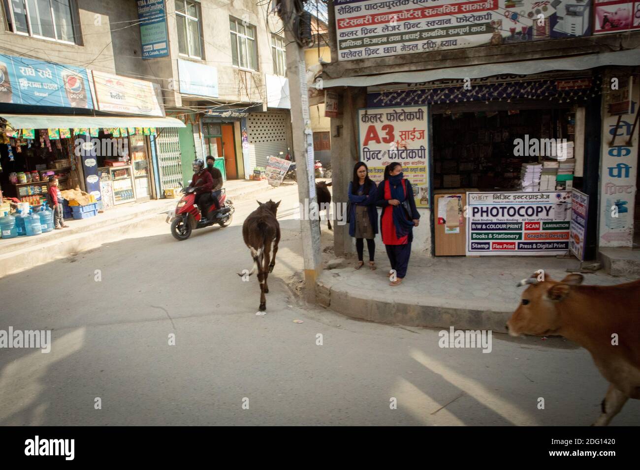 Thamel street kathmandu hi-res stock photography and images - Alamy
