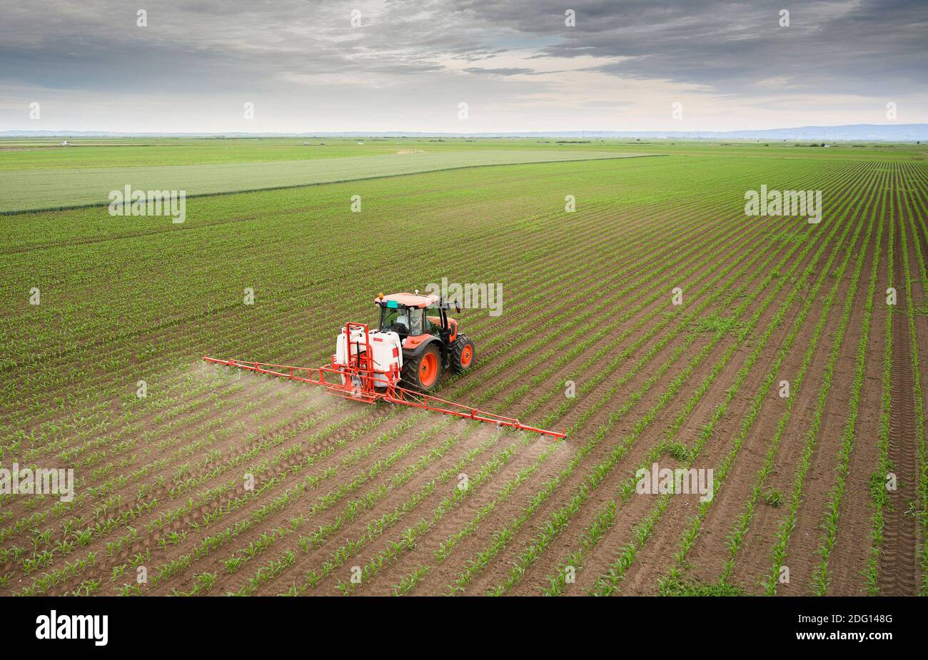 Tractor spraying pesticides on corn field with sprayer at spring Stock ...