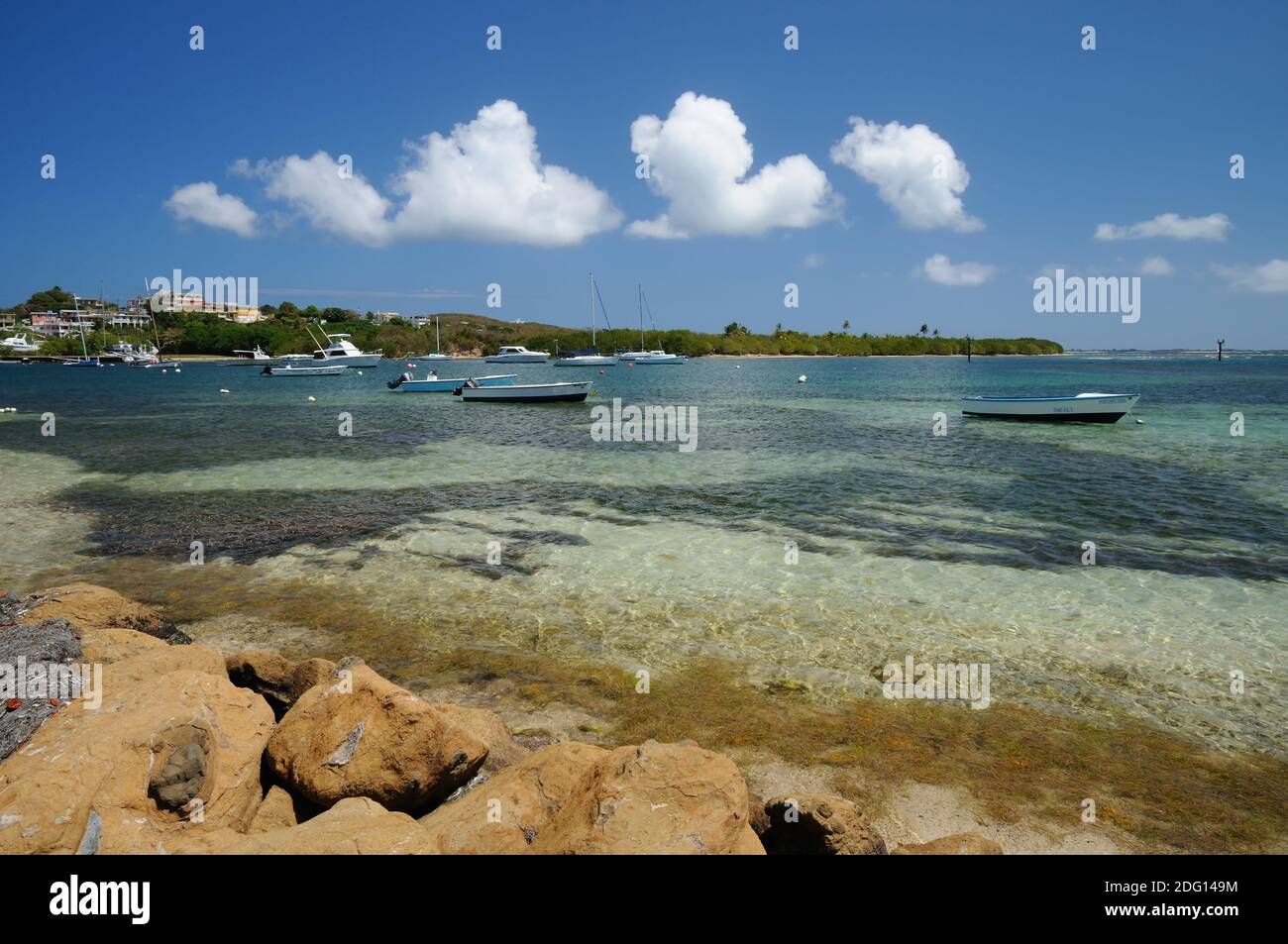 Bio bay puerto rico hi-res stock photography and images - Alamy
