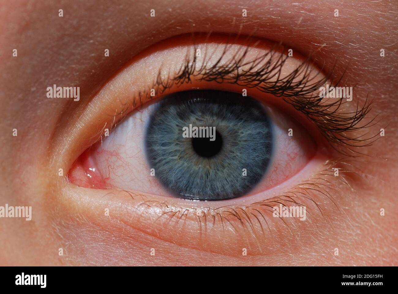 Sieht mode hi-res stock photography and images - Alamy