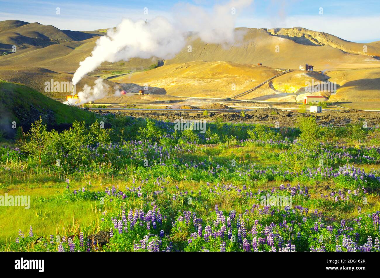 Colours of this earth Stock Photo - Alamy