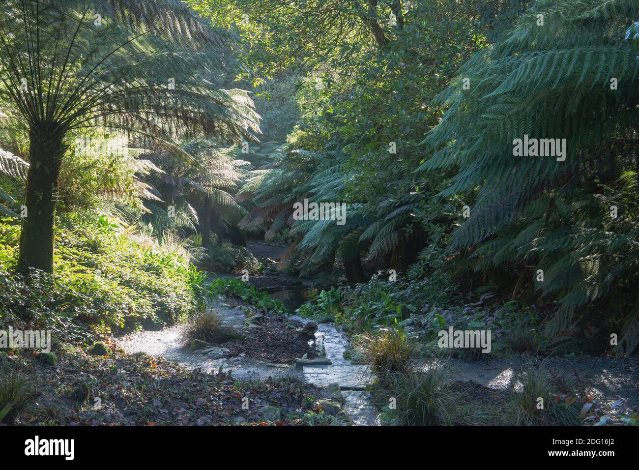 Stream through gardens hi-res stock photography and images - Alamy