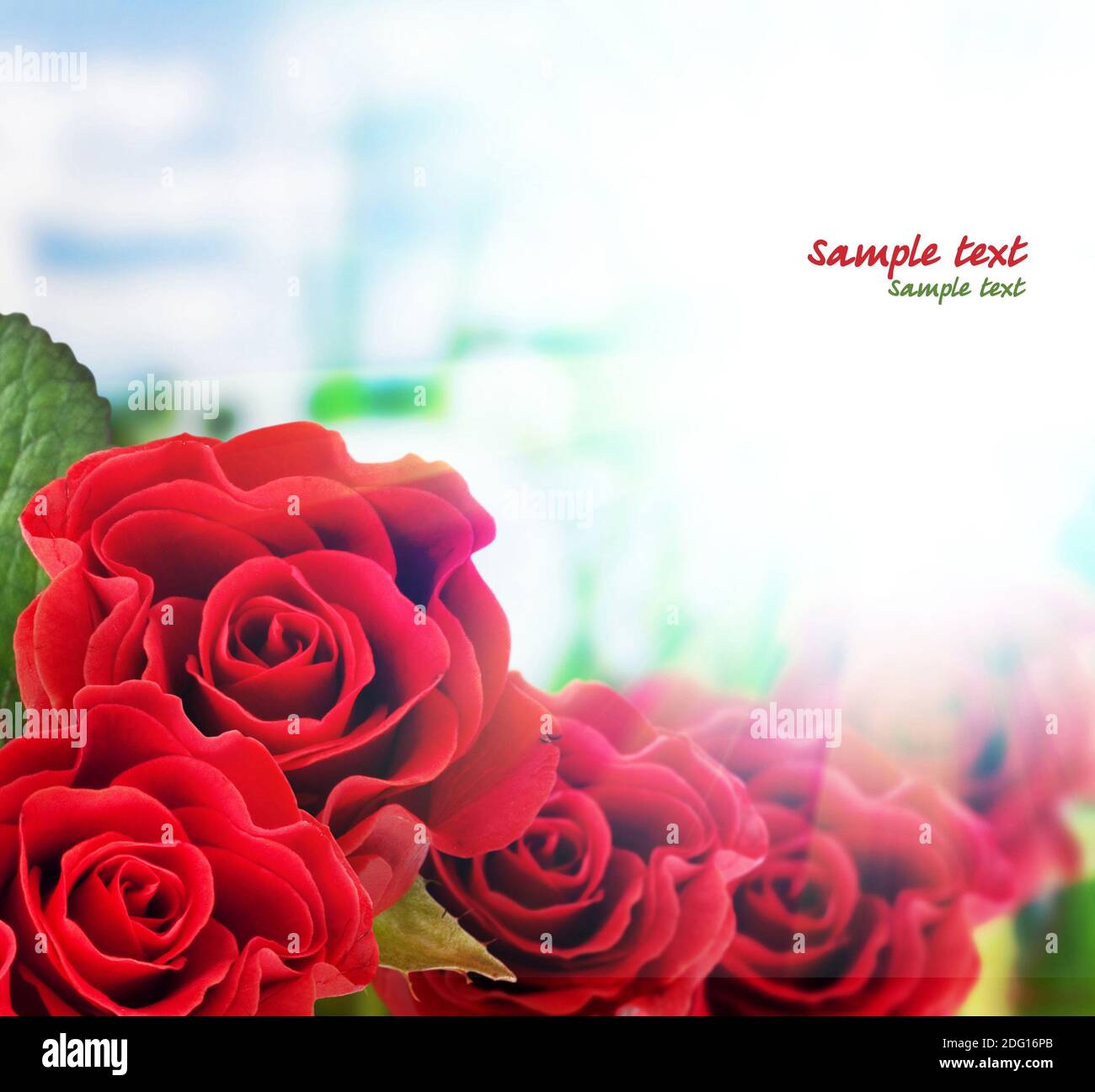 Heaven scent rose hi-res stock photography and images - Alamy
