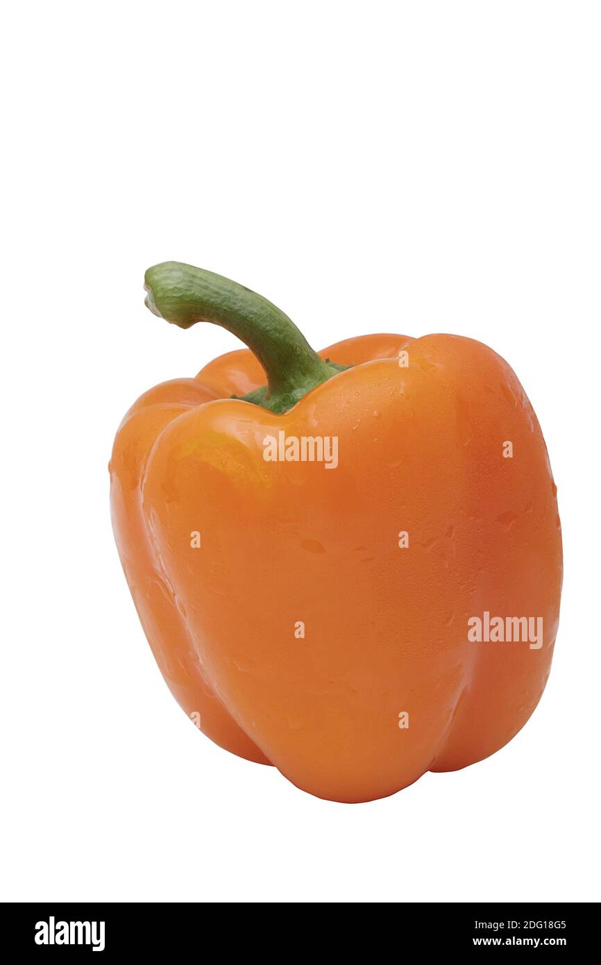 Paprika plant isolated Cut Out Stock Images & Pictures - Alamy