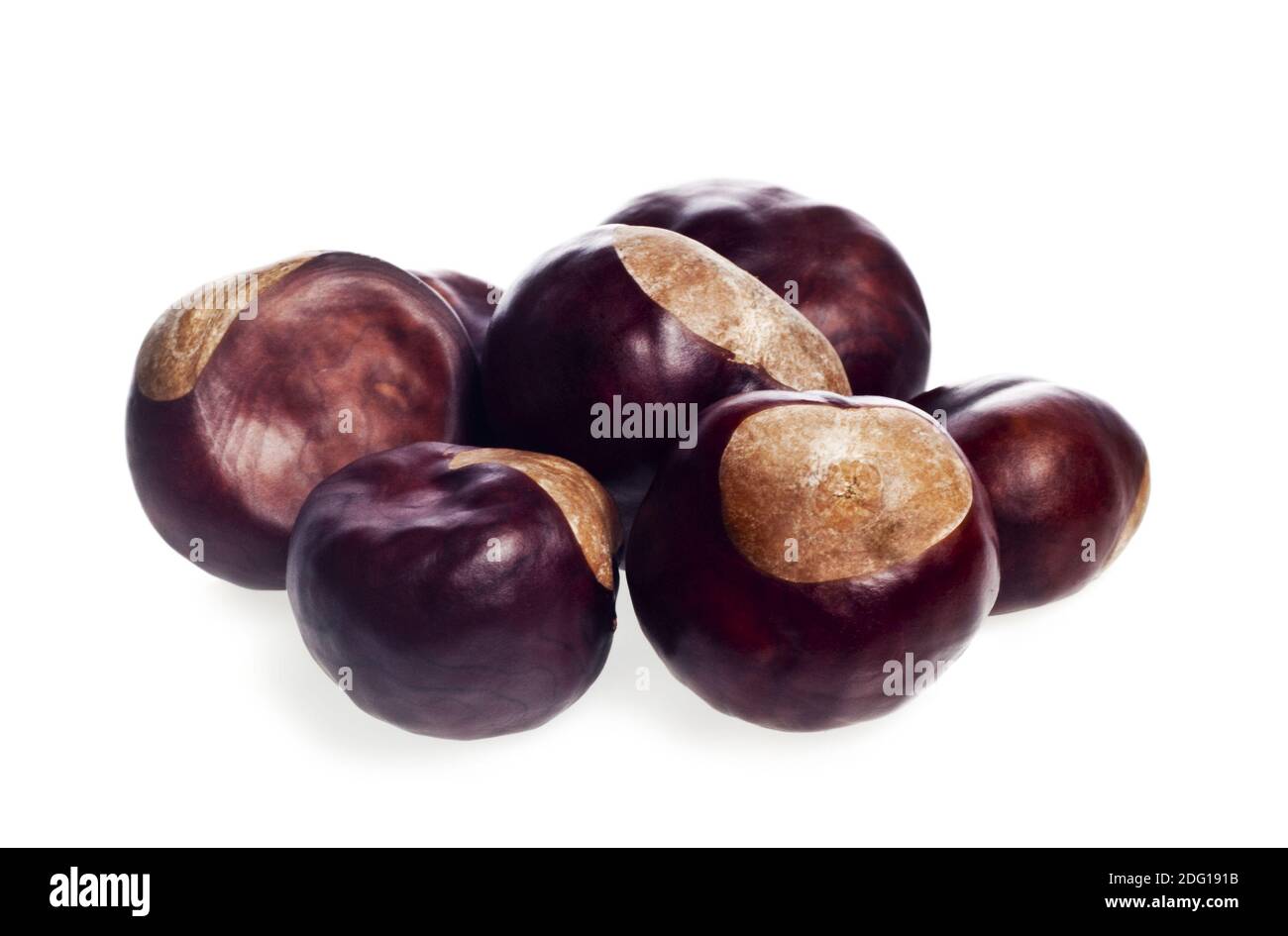 Sweet chestnut and husks hi-res stock photography and images - Alamy
