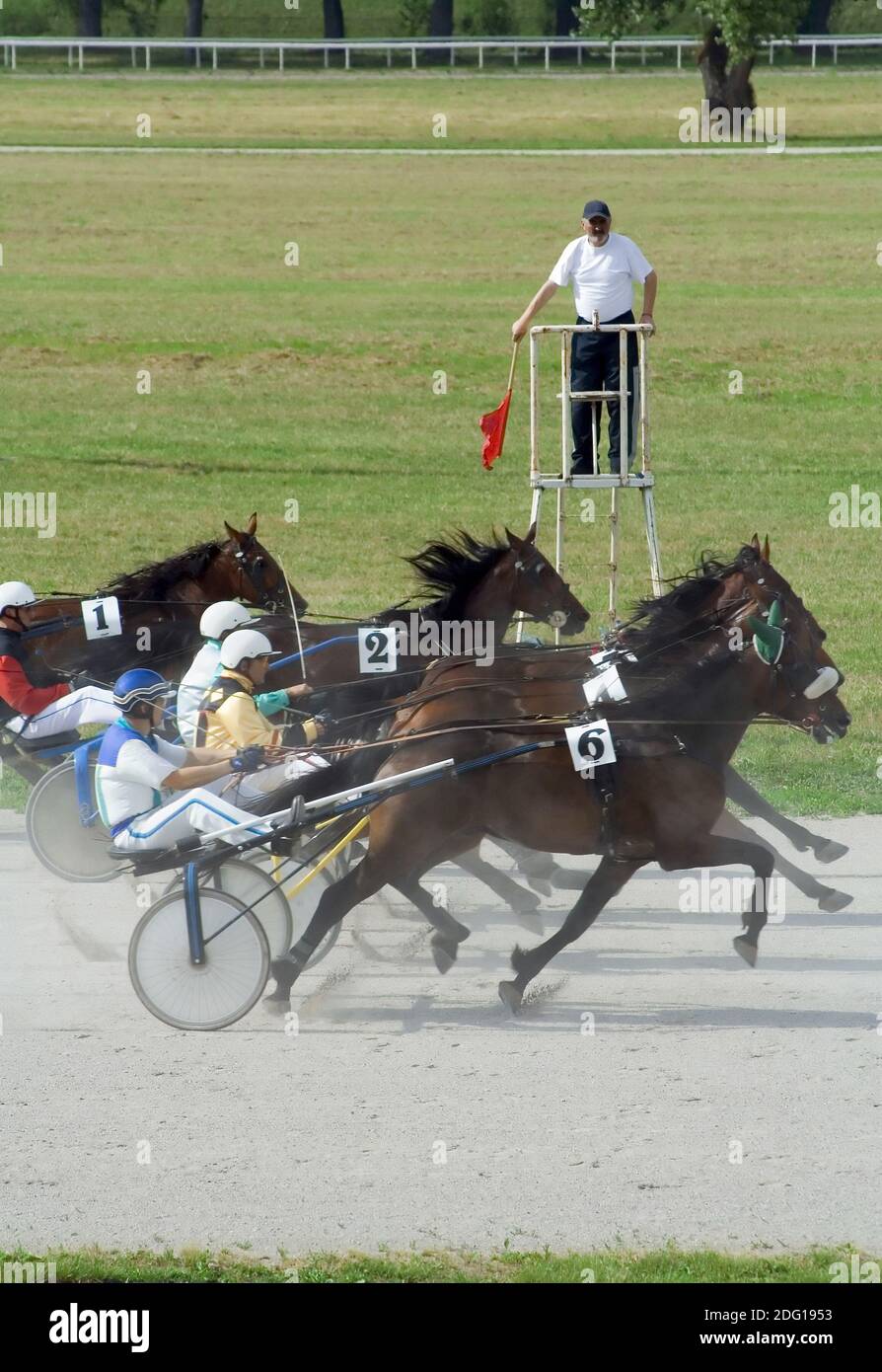 Horse winning race hi-res stock photography and images - Alamy