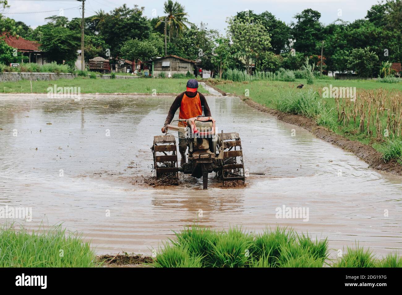 Indonesia Farmer plowing a rice field using tiller tractor Stock Photo ...