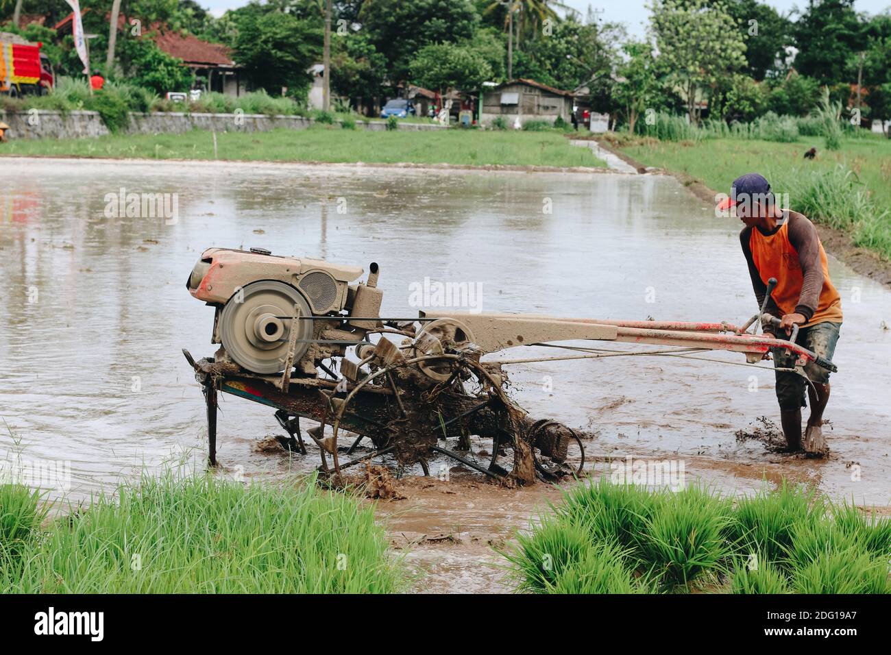 Indonesia Farmer plowing a rice field using tiller tractor Stock Photo ...