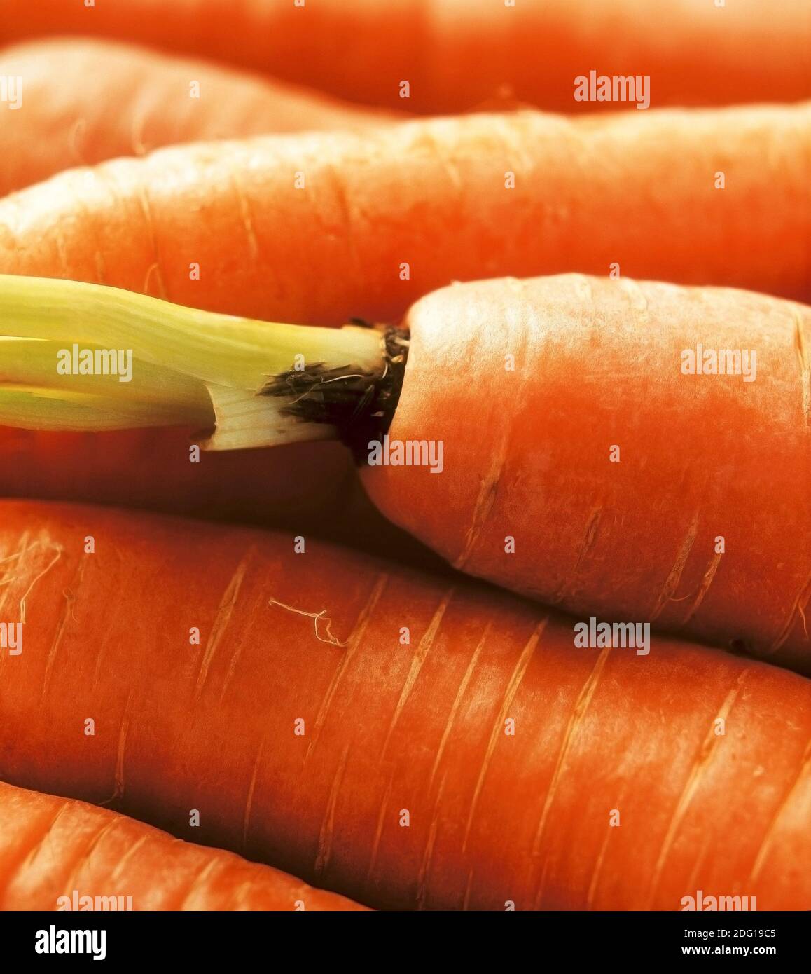 Carrots background hi-res stock photography and images - Alamy