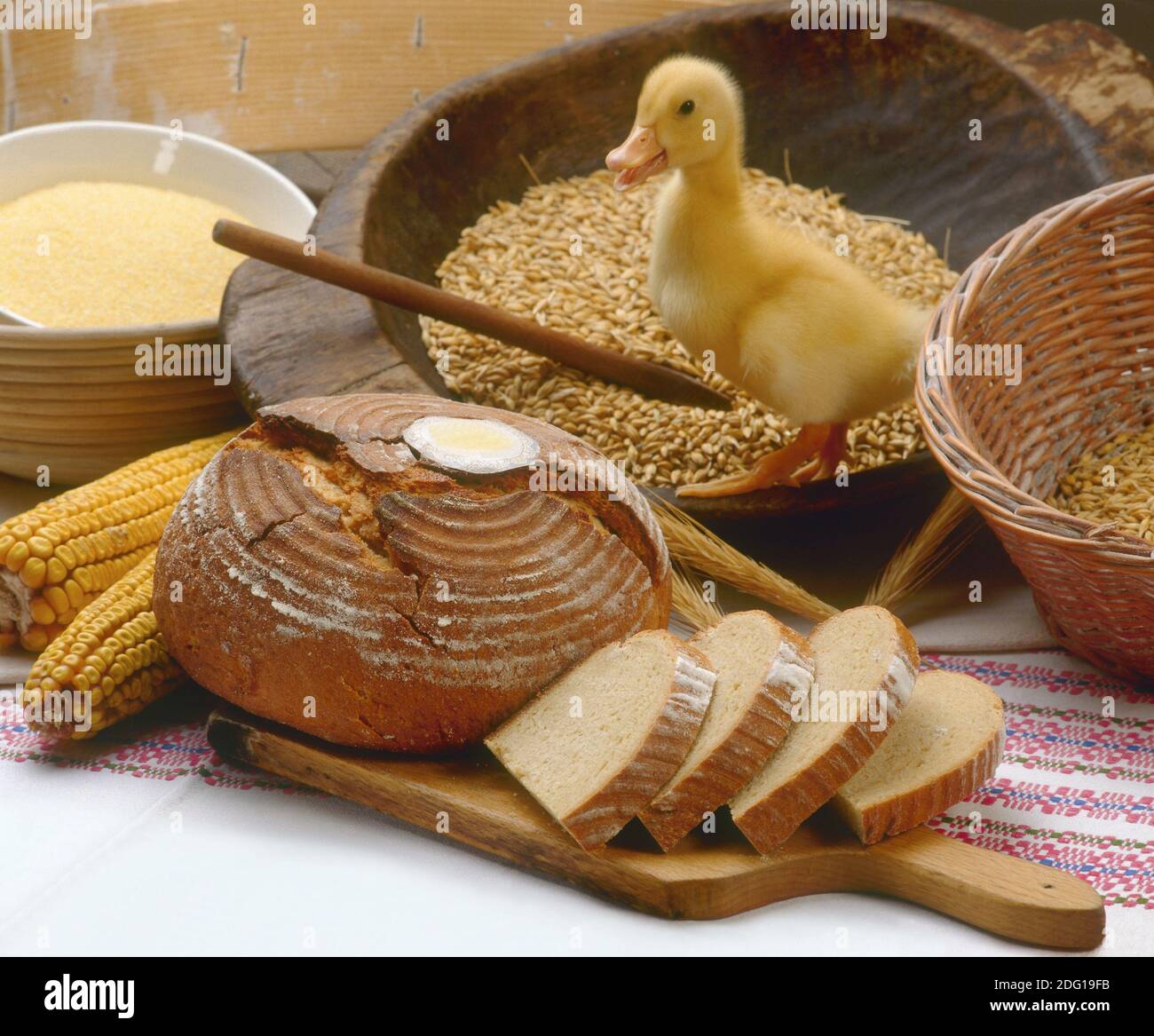 Bread And Duck Stock Photo - Alamy