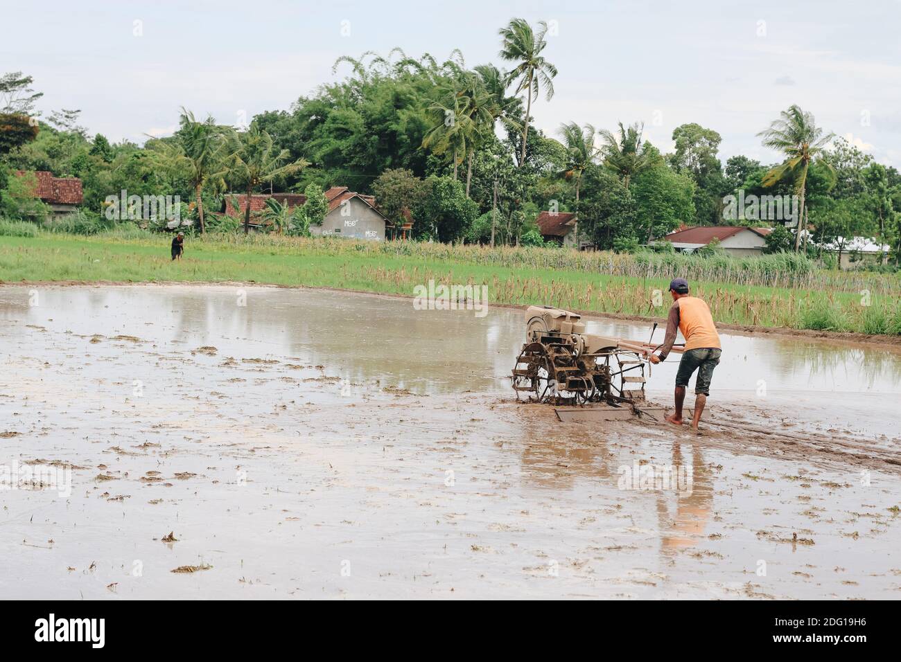 Indonesia Farmer plowing a rice field using tiller tractor Stock Photo ...