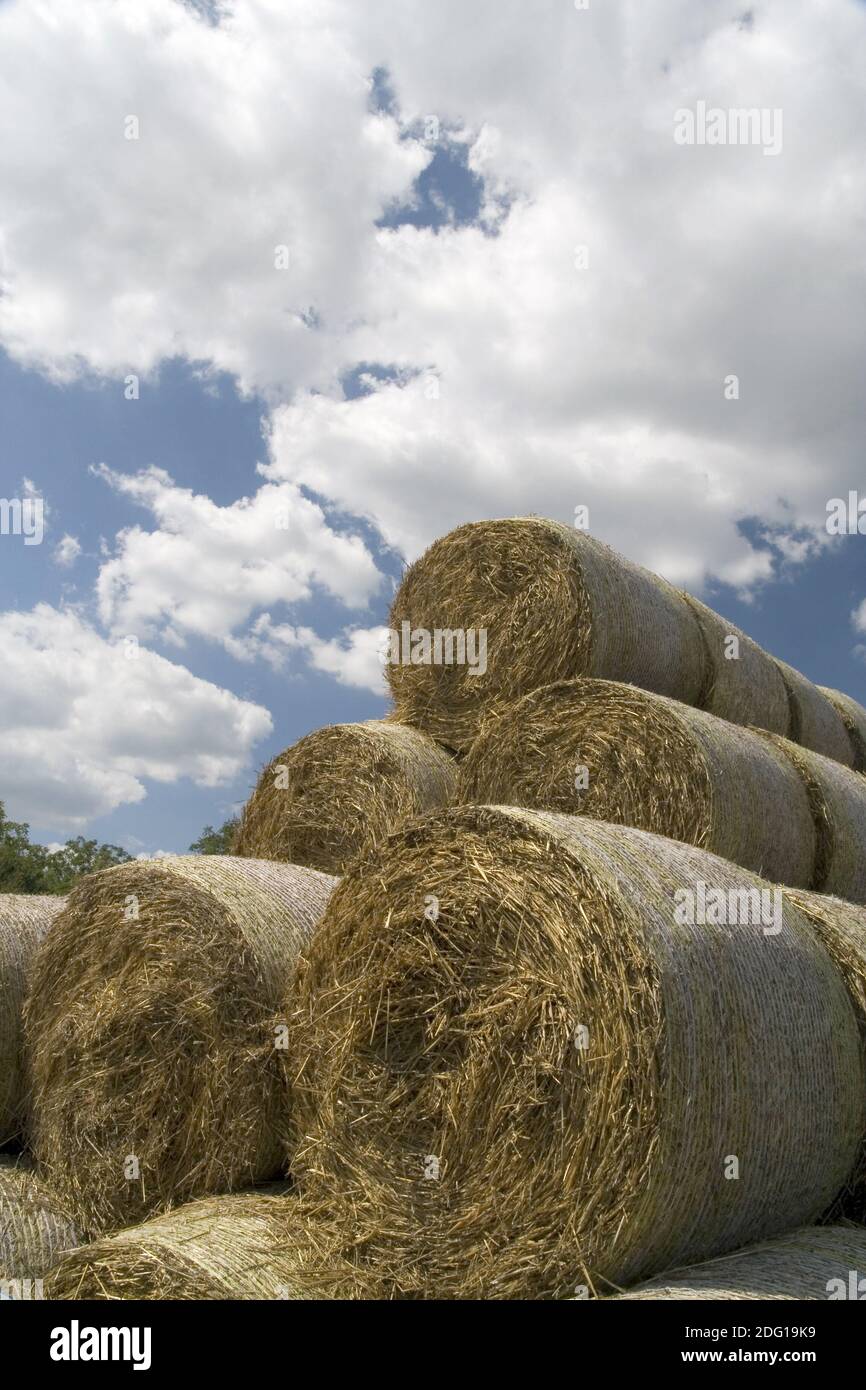 Gold bale hi-res stock photography and images - Alamy