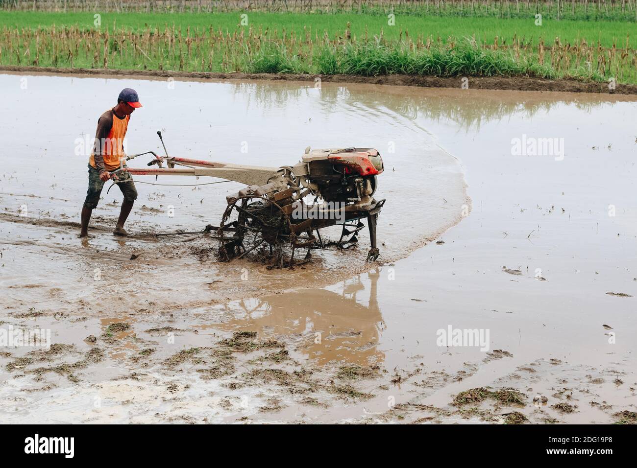Indonesia Farmer plowing a rice field using tiller tractor Stock Photo ...