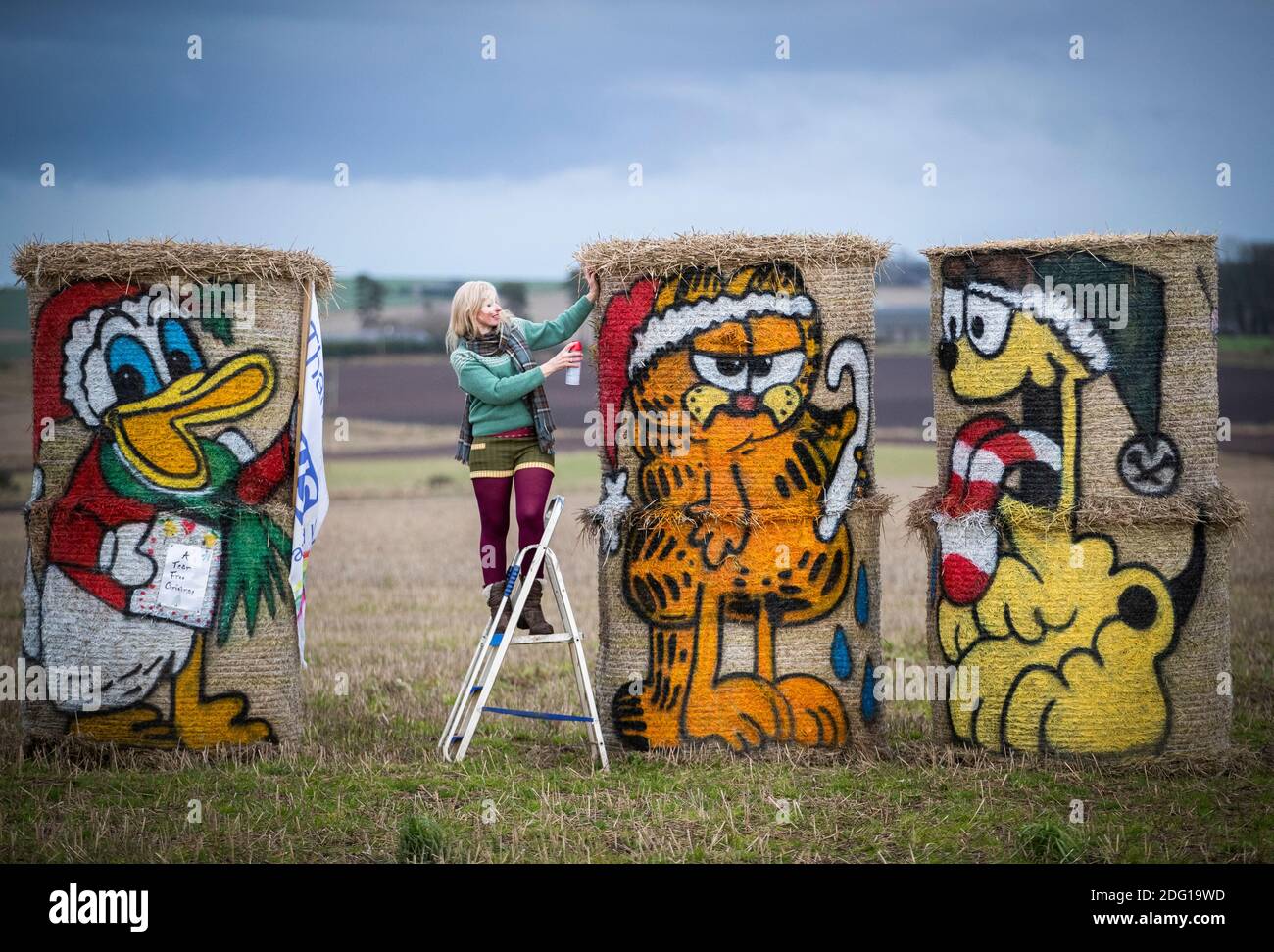 Farmer and artist Fleur Baxter with the Christmas character artworks ...