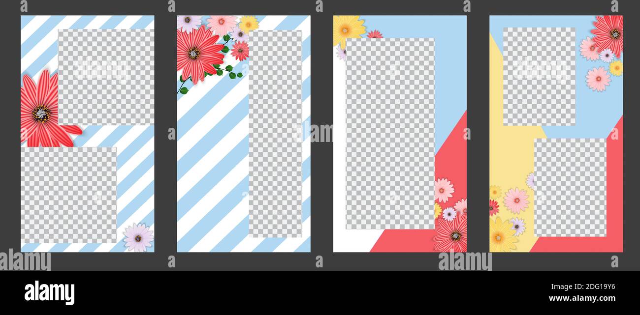 Flower Natural Background for Instagram Stories Post Set. Illustration ...
