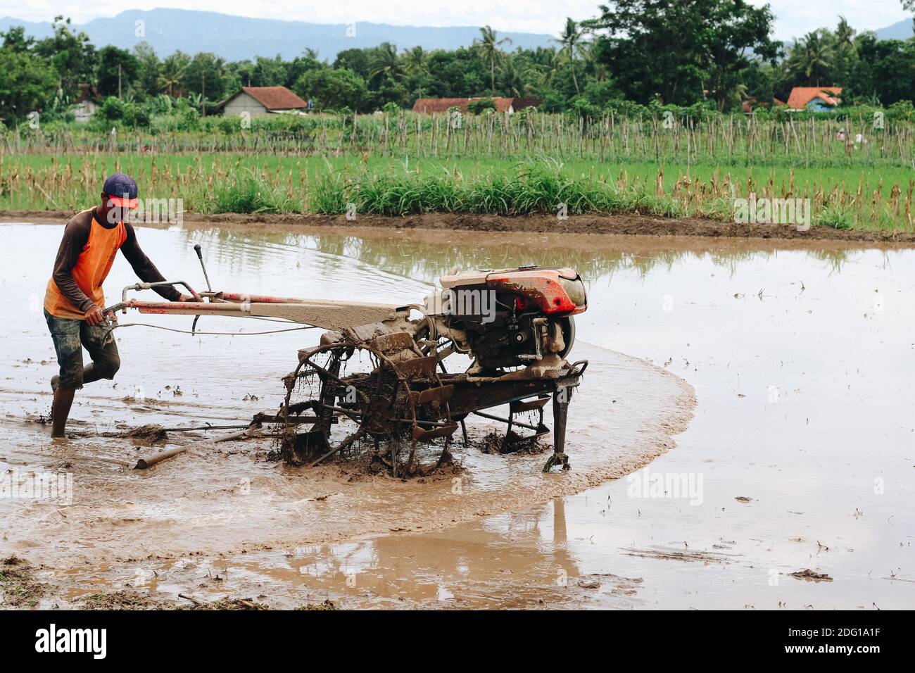 Indonesia Farmer plowing a rice field using tiller tractor Stock Photo ...