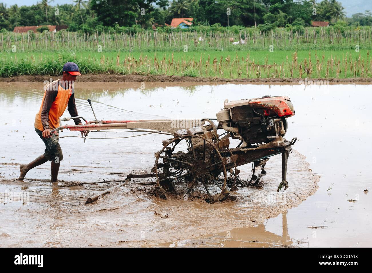 Indonesia Farmer plowing a rice field using tiller tractor Stock Photo ...