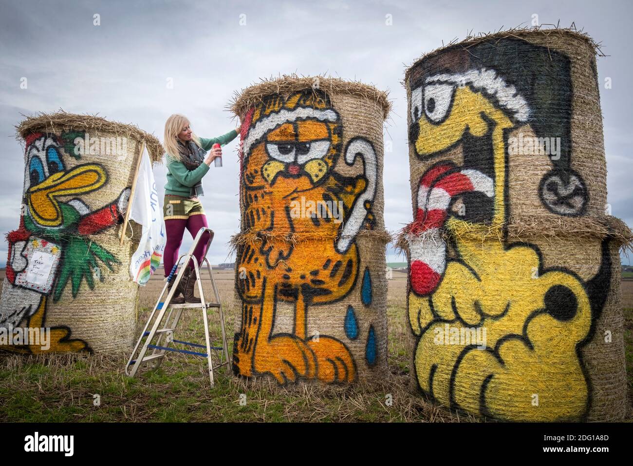 Farmer and artist Fleur Baxter with the Christmas character artworks ...
