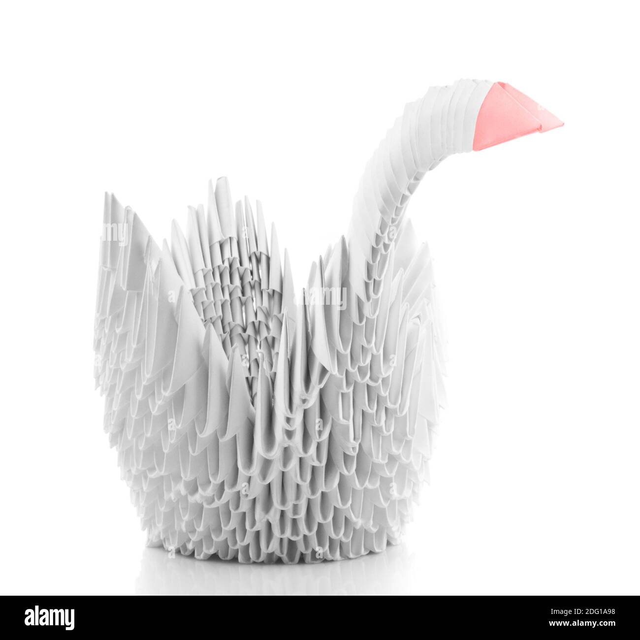 Japanese black swan hi-res stock photography and images - Alamy