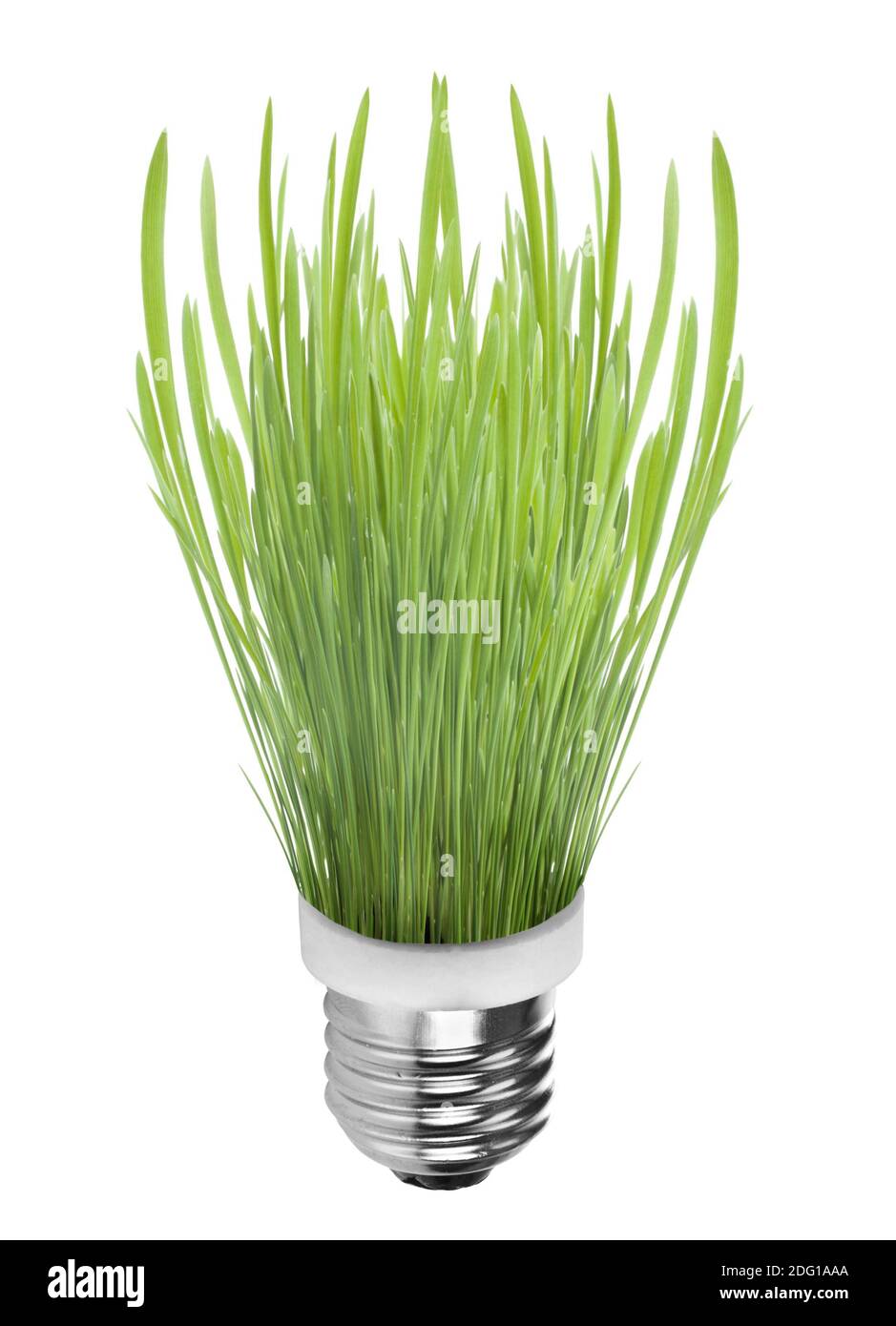 Light bulb on grass Stock Photo - Alamy