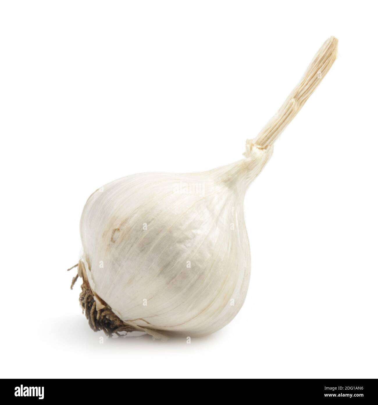 White garlic hi-res stock photography and images - Alamy