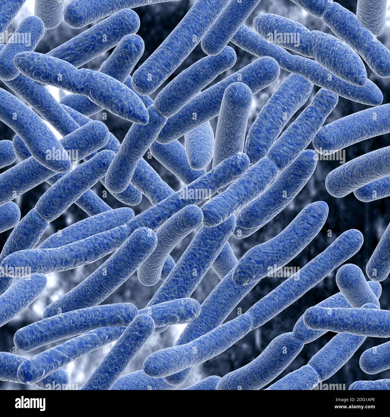 Bacteria illustrations hi-res stock photography and images - Alamy