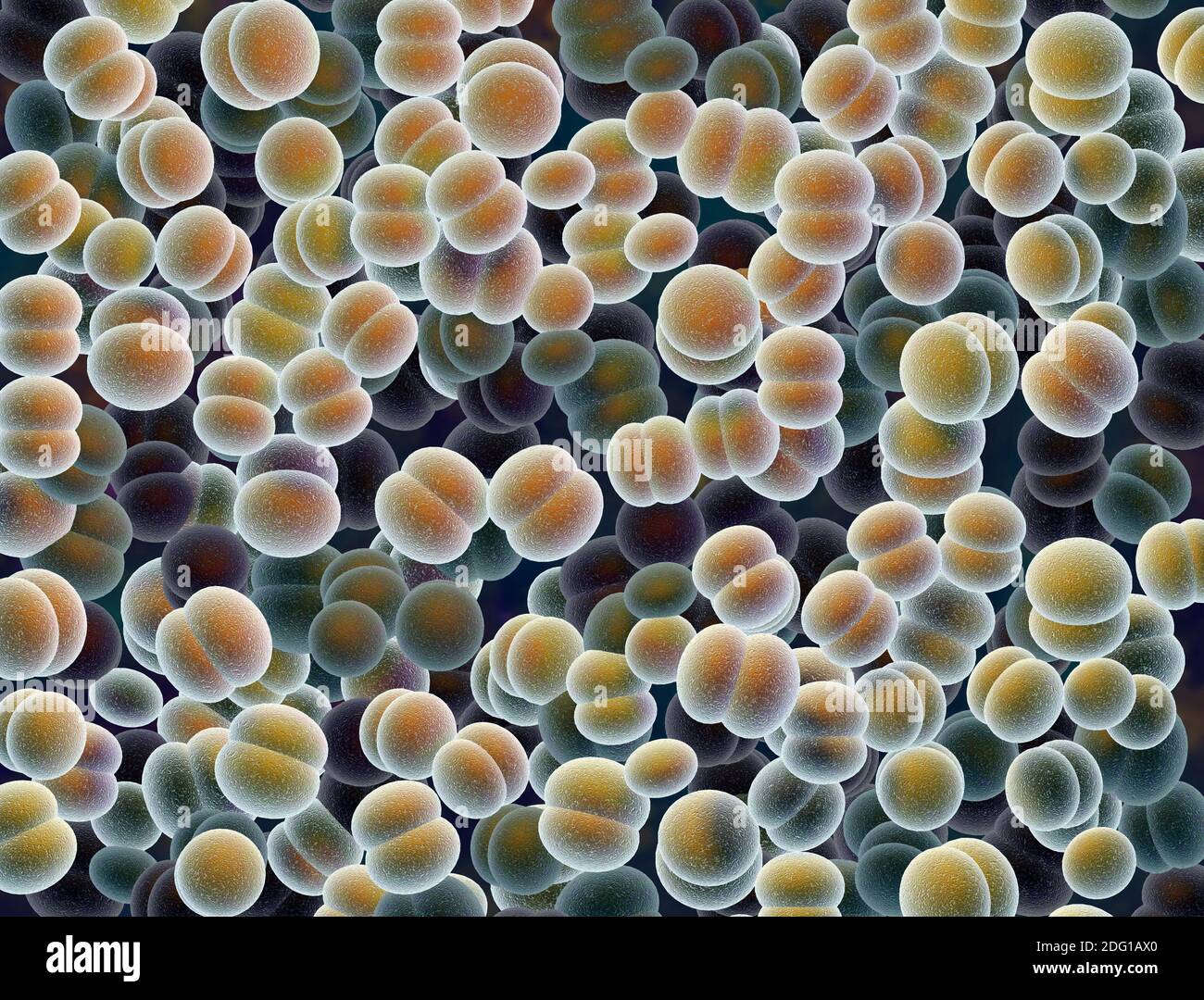 Sick cells hi-res stock photography and images - Alamy
