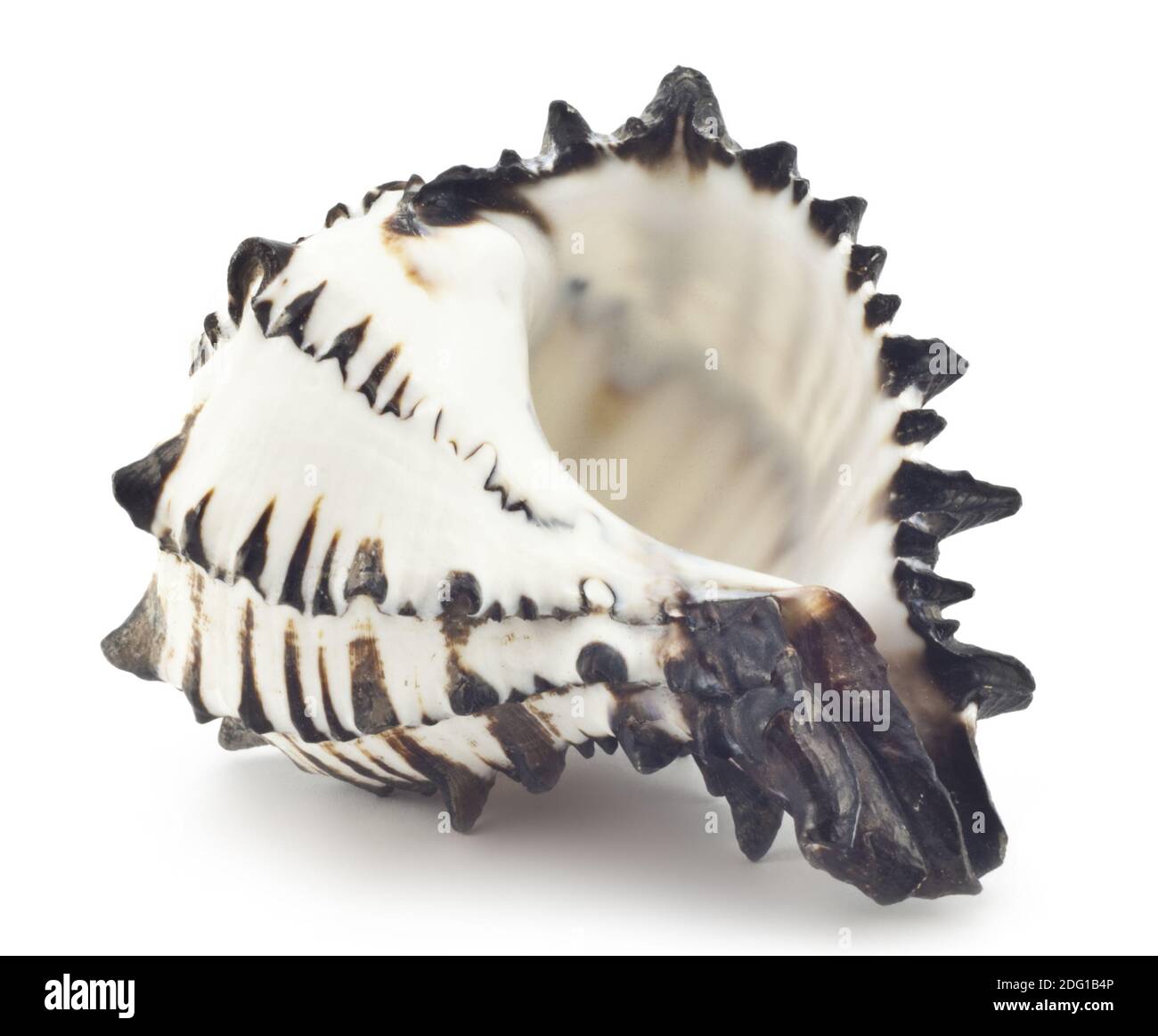 The most beautiful ocean Cut Out Stock Images & Pictures - Alamy