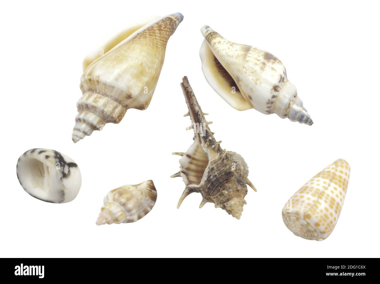 Beautiful tropical sea Cut Out Stock Images & Pictures - Alamy