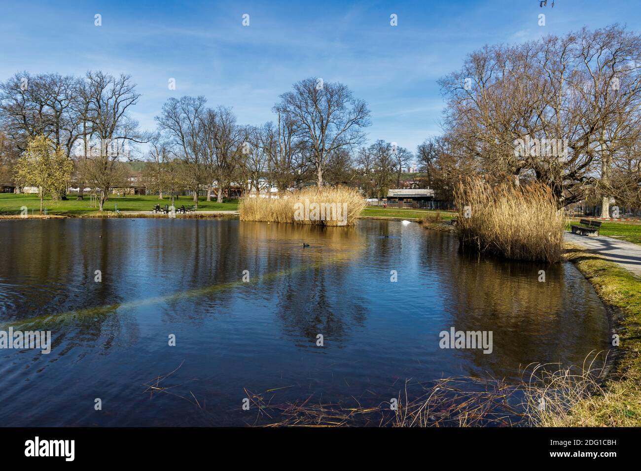 Pumpsee, Rosensteinpark, Stuttgart, Deutschland Stock Photo - Alamy