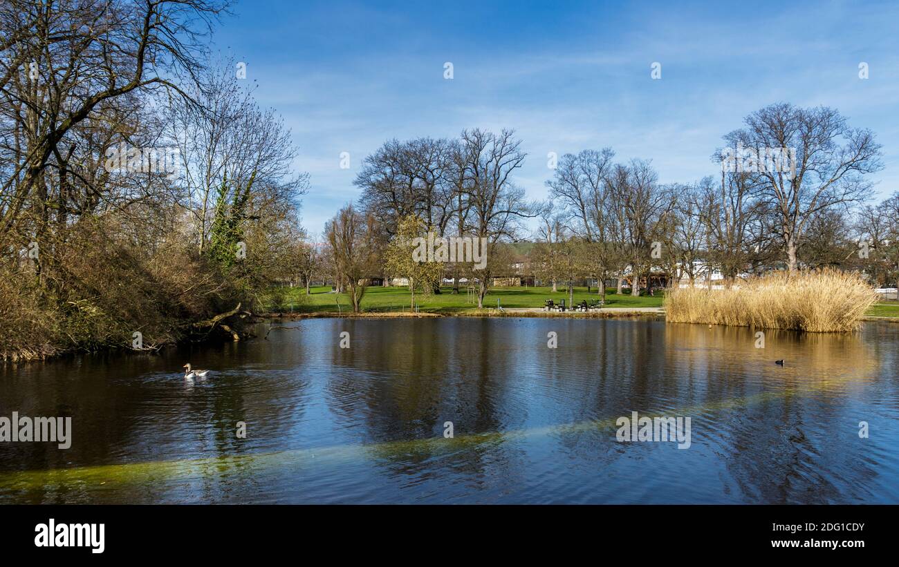 Pumpsee, Rosensteinpark, Stuttgart, Deutschland Stock Photo - Alamy