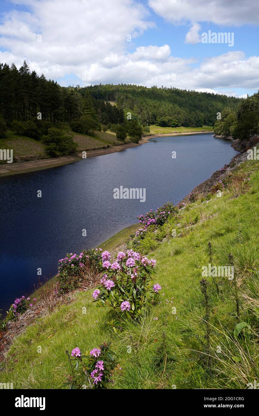 Derwent valley reservoir Derbyshire Peak District England Stock Photo ...