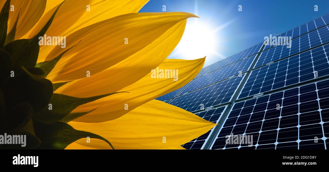 Solar modules hi-res stock photography and images - Alamy