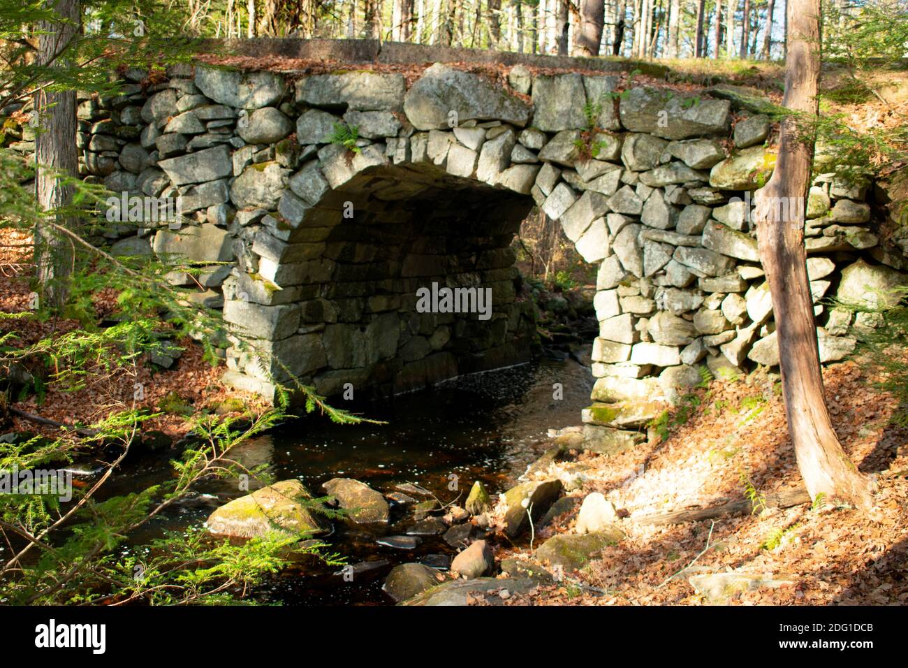 Network arch bridge hi-res stock photography and images - Alamy