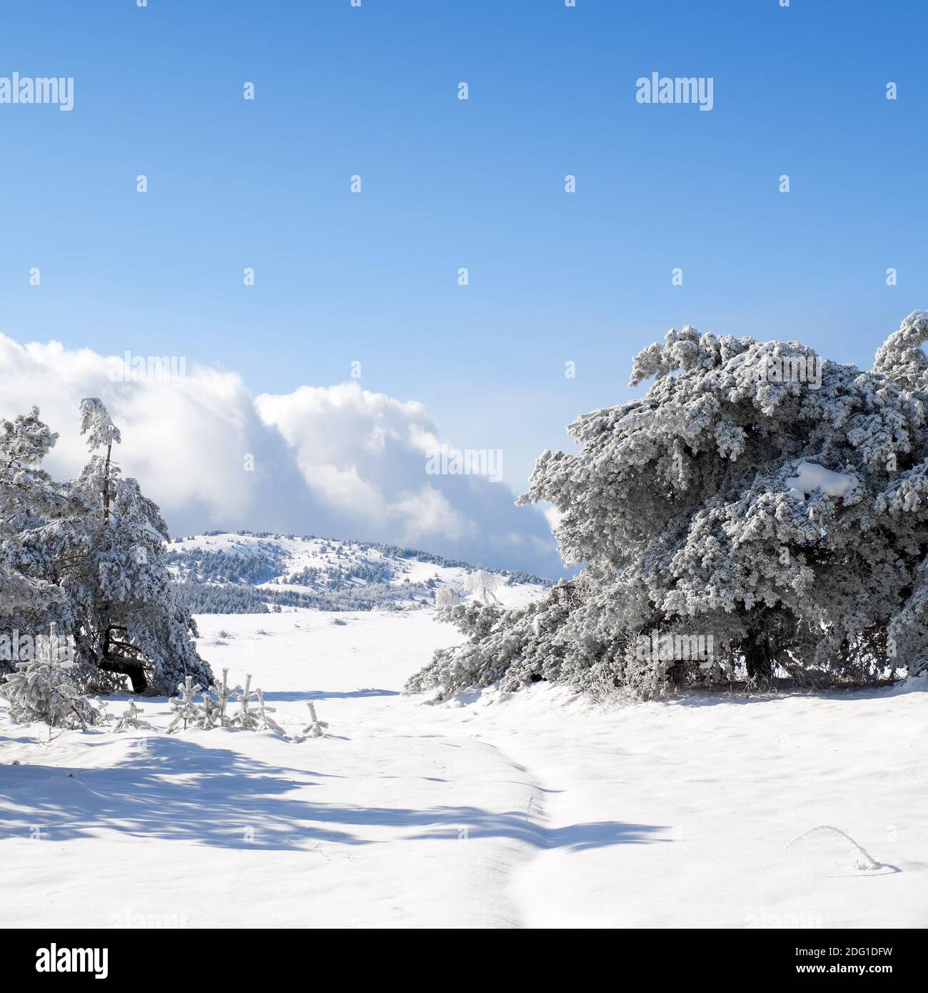 Wintry white landscape hi-res stock photography and images - Alamy