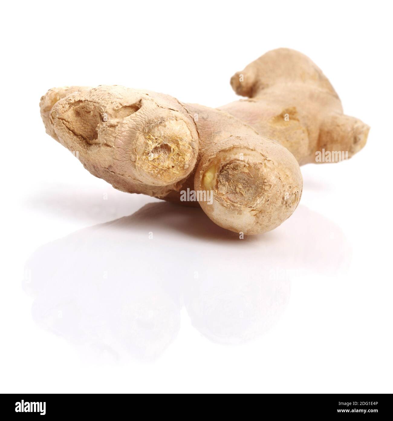 Ginger zingiber officinale Cut Out Stock Images & Pictures - Alamy