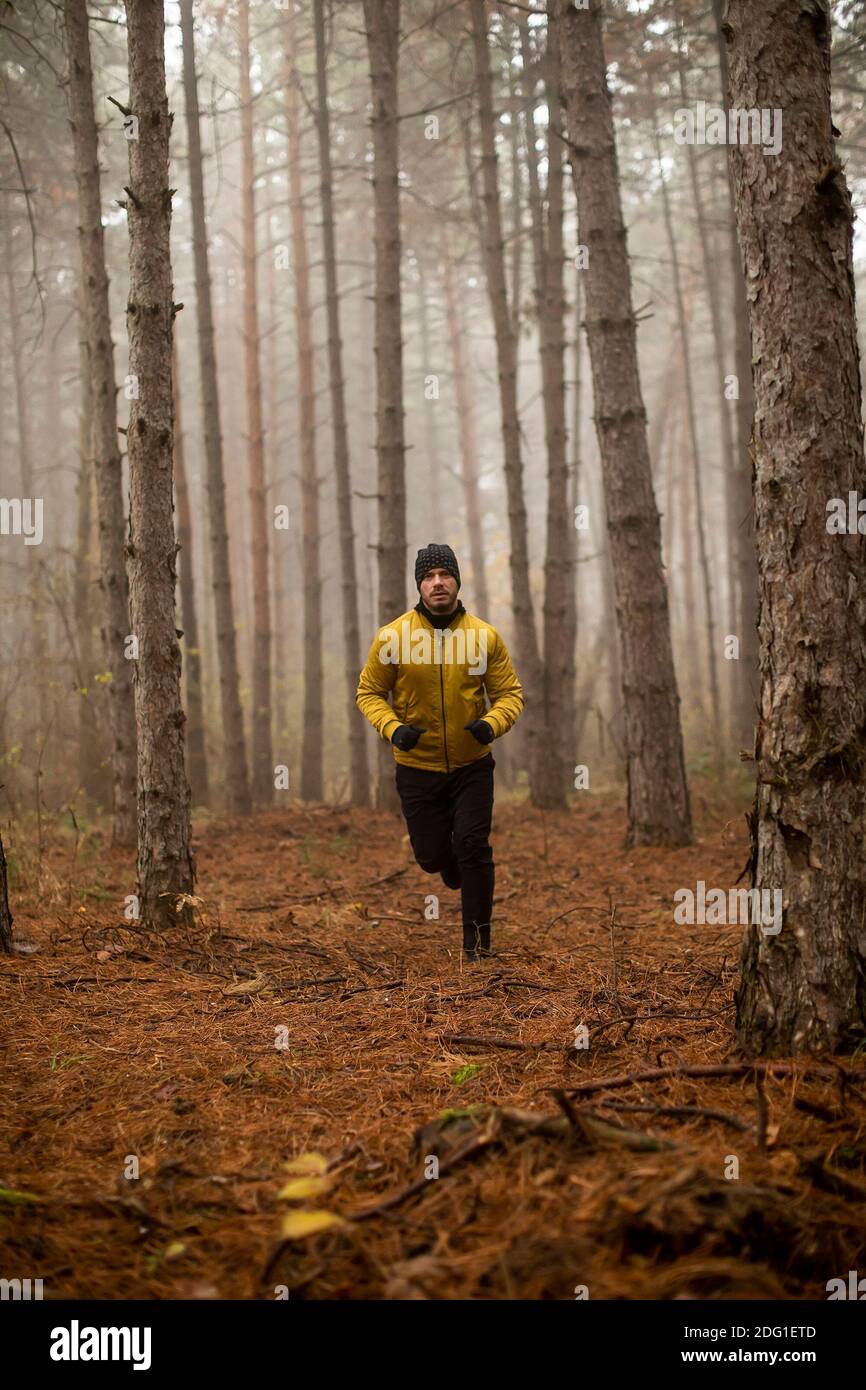 Handsome young man running in autumn forest and exercising for trail ...