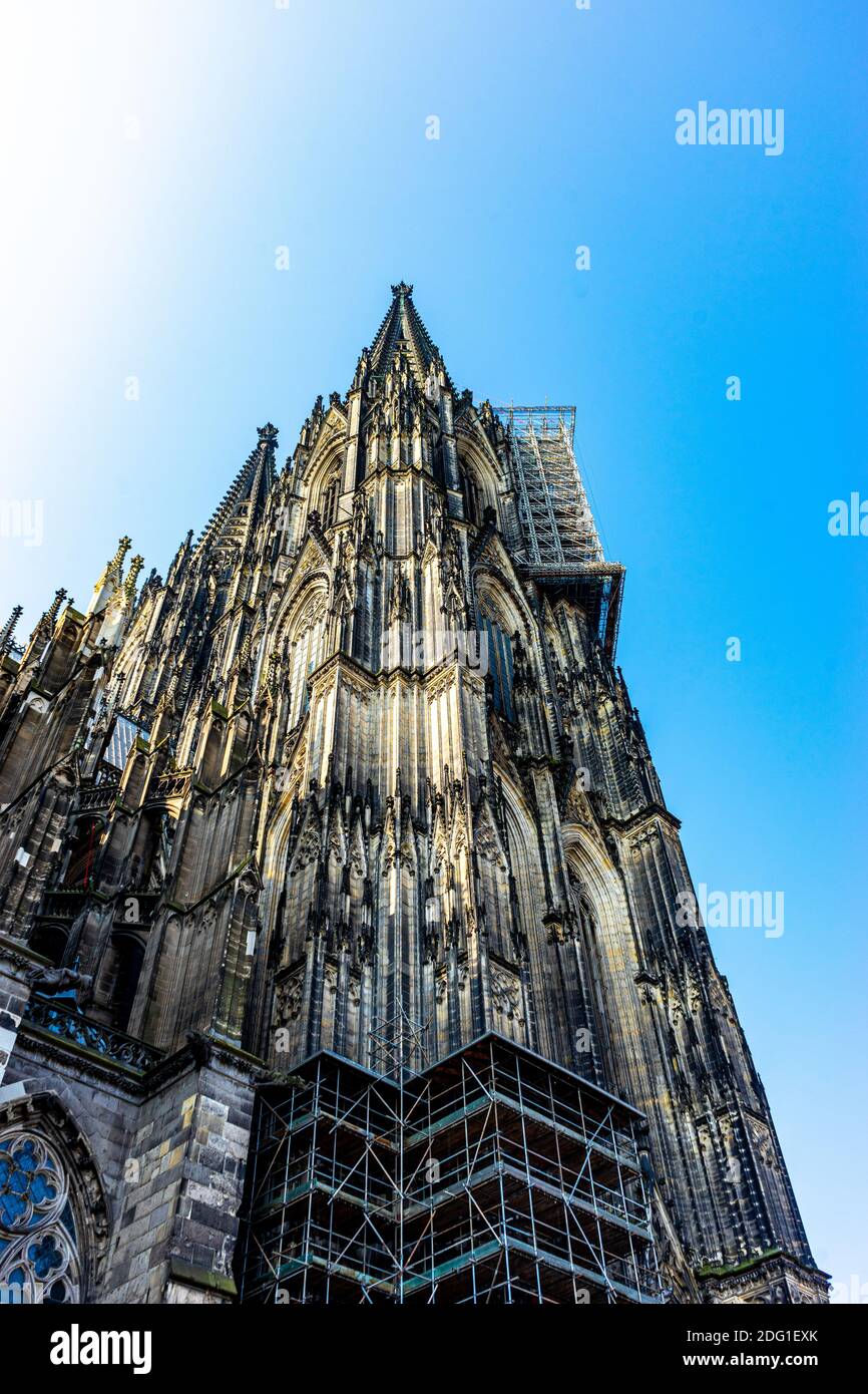A vertical shot of a historic Cologne Cathedral exterior wall ...