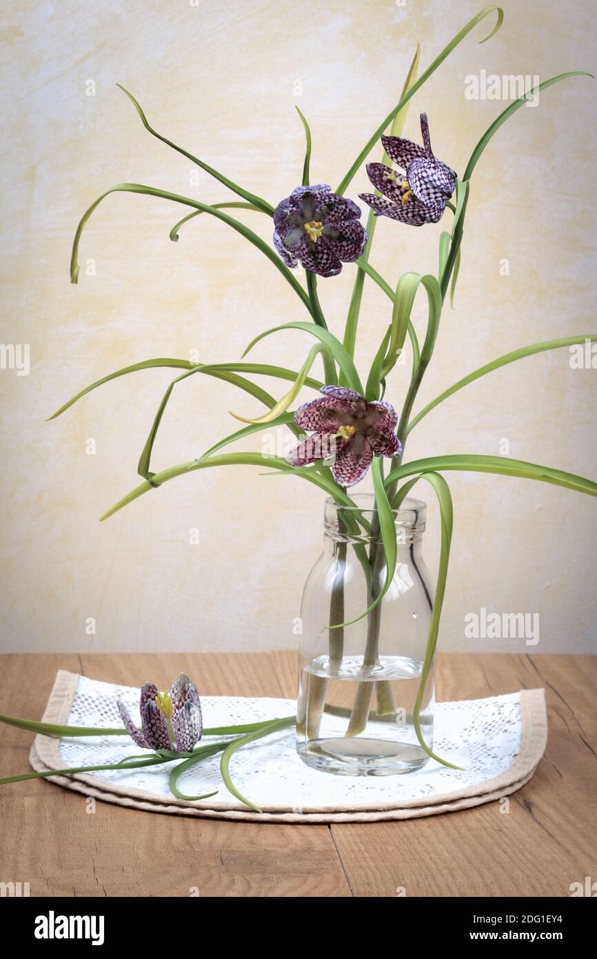 Lazarus bell hi-res stock photography and images - Alamy