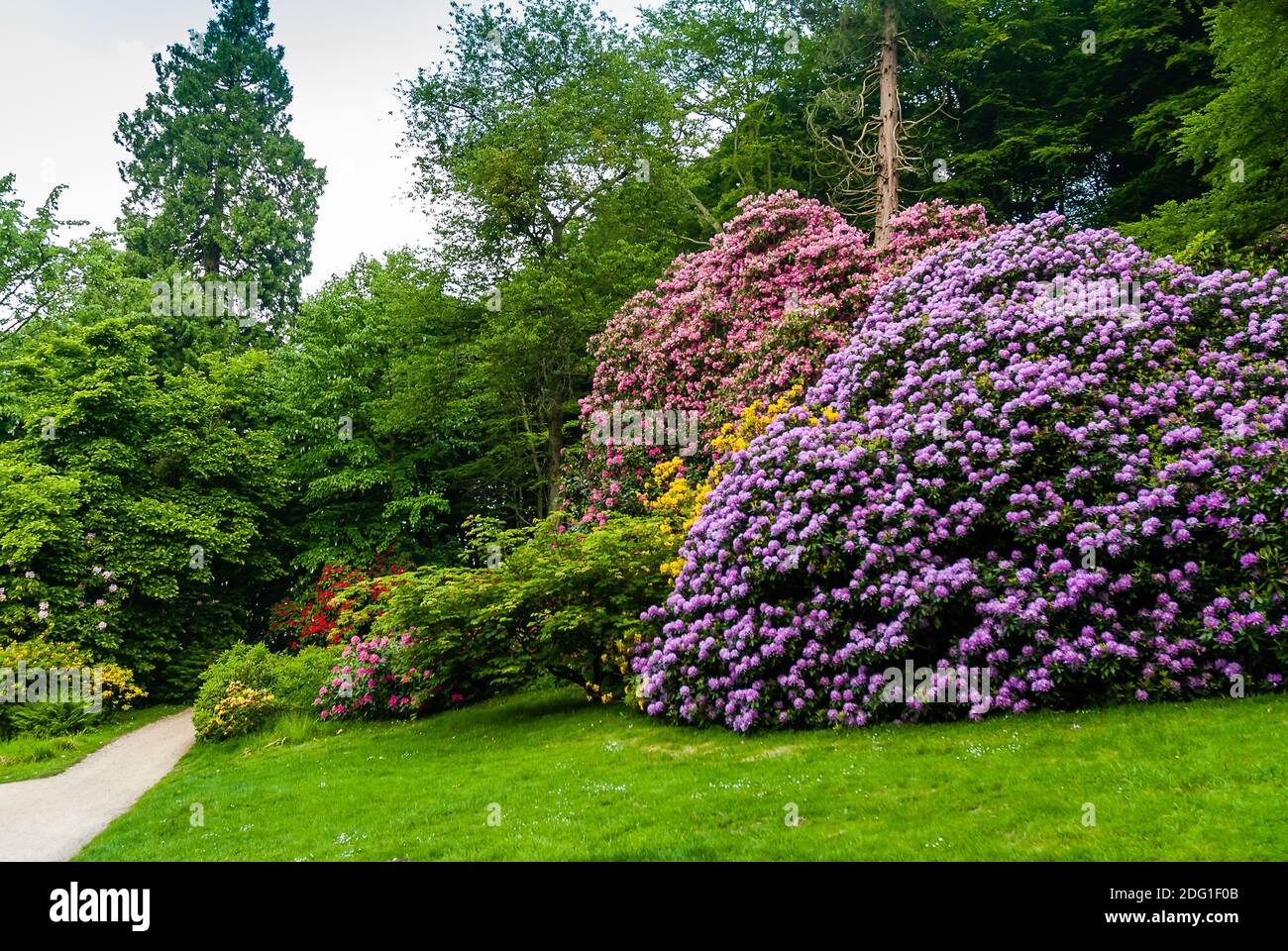 Stourhead Gardens in the Spring Stock Photo - Alamy
