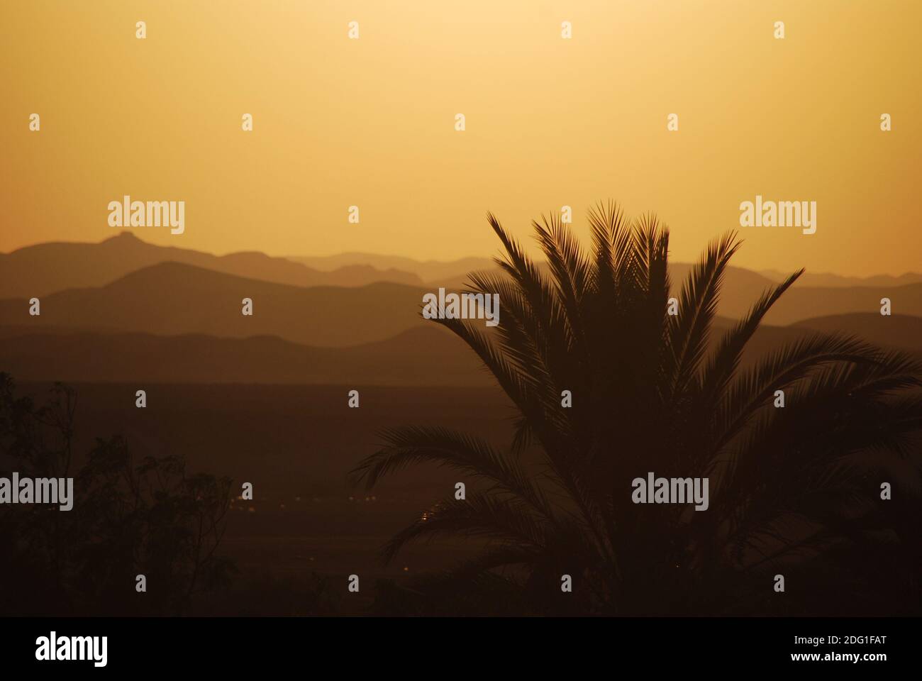 Sunset with palm trees and desert Stock Photo - Alamy