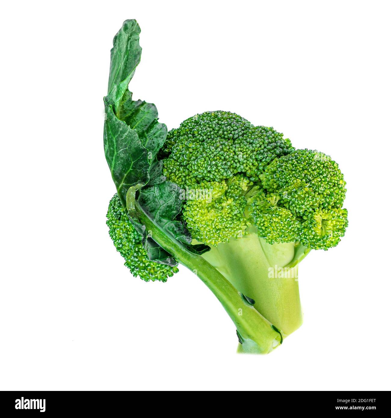 Broccoli isolated on white background. Raw broccoli vegetable close up ...