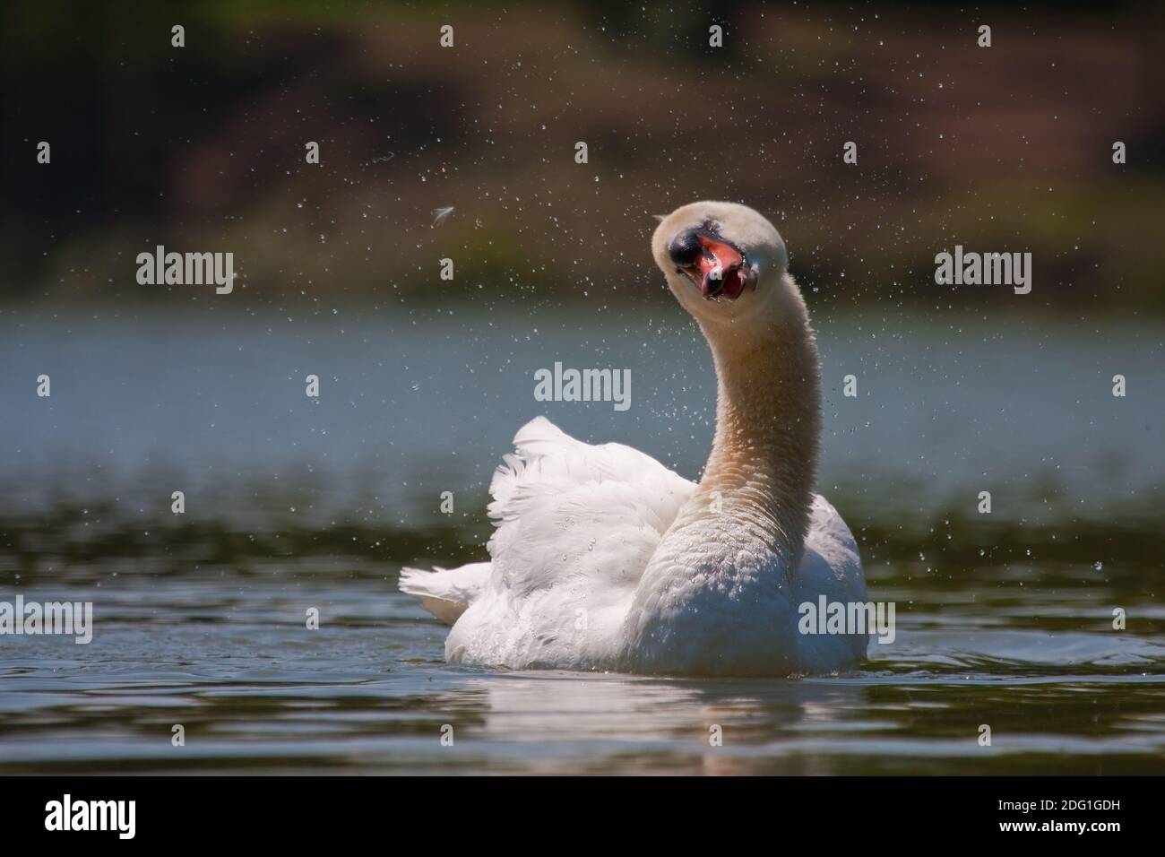 Hot kisses hi-res stock photography and images - Alamy