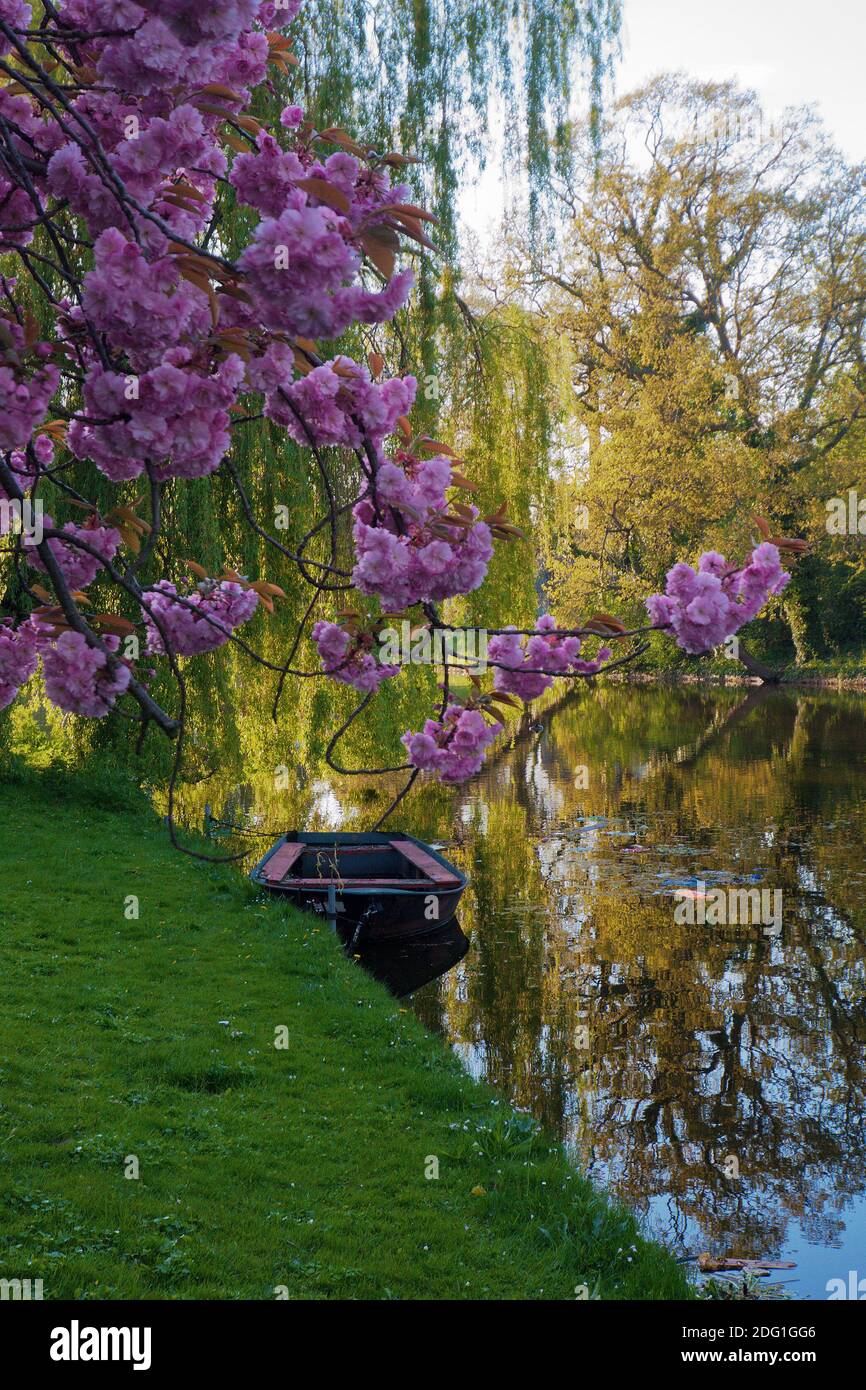 Idyllic scene hi-res stock photography and images - Alamy