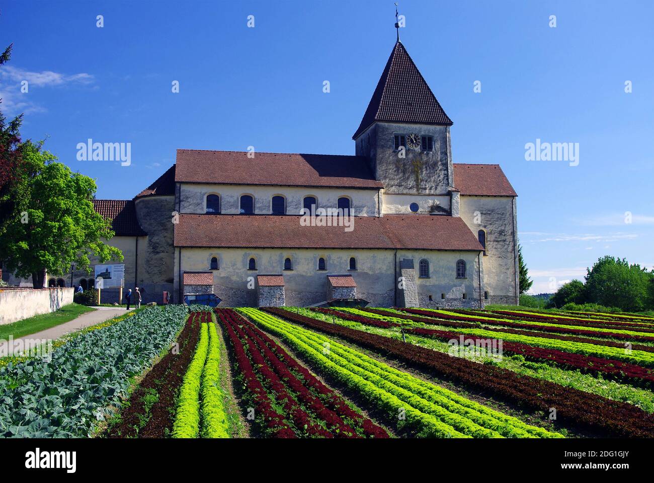 Church on the island reichenau Stock Photo - Alamy
