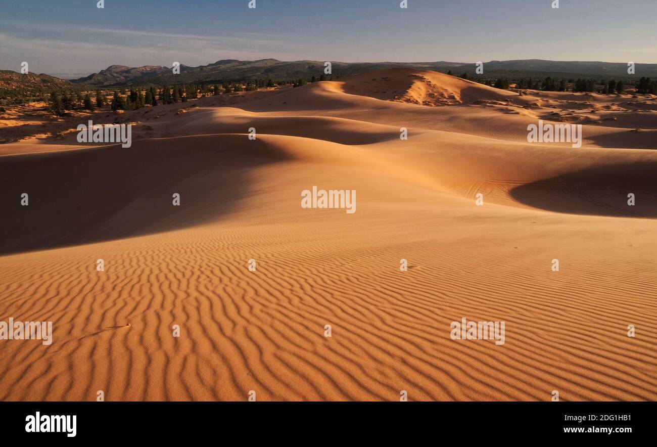 Coral pink sand dunes utah hi-res stock photography and images - Alamy