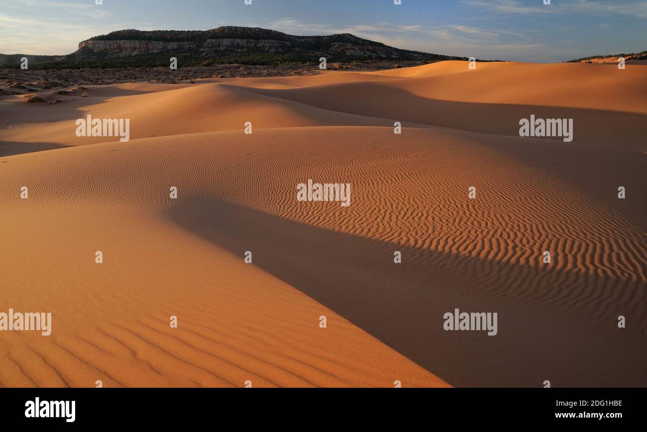 Coral pink sand dunes utah hi-res stock photography and images - Alamy